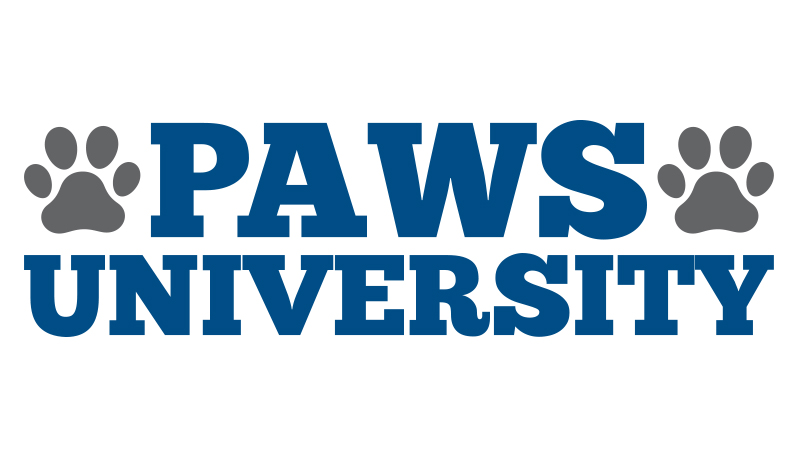 UNK partners with Kearney Public Schools to offer PAWS University ...