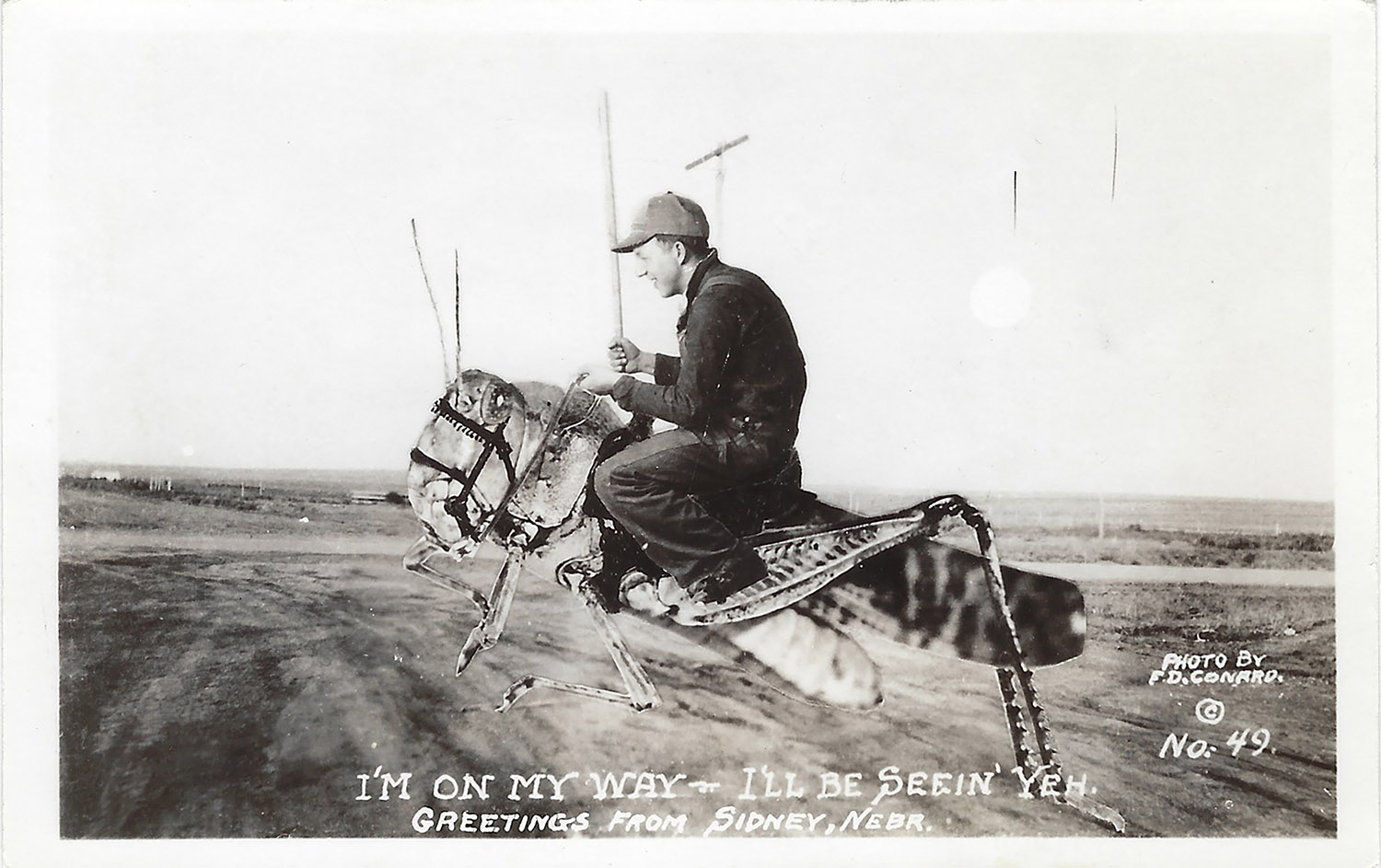 ‘Giant Grasshoppers and Two-Ton Potatoes’: Father-son research team ...
