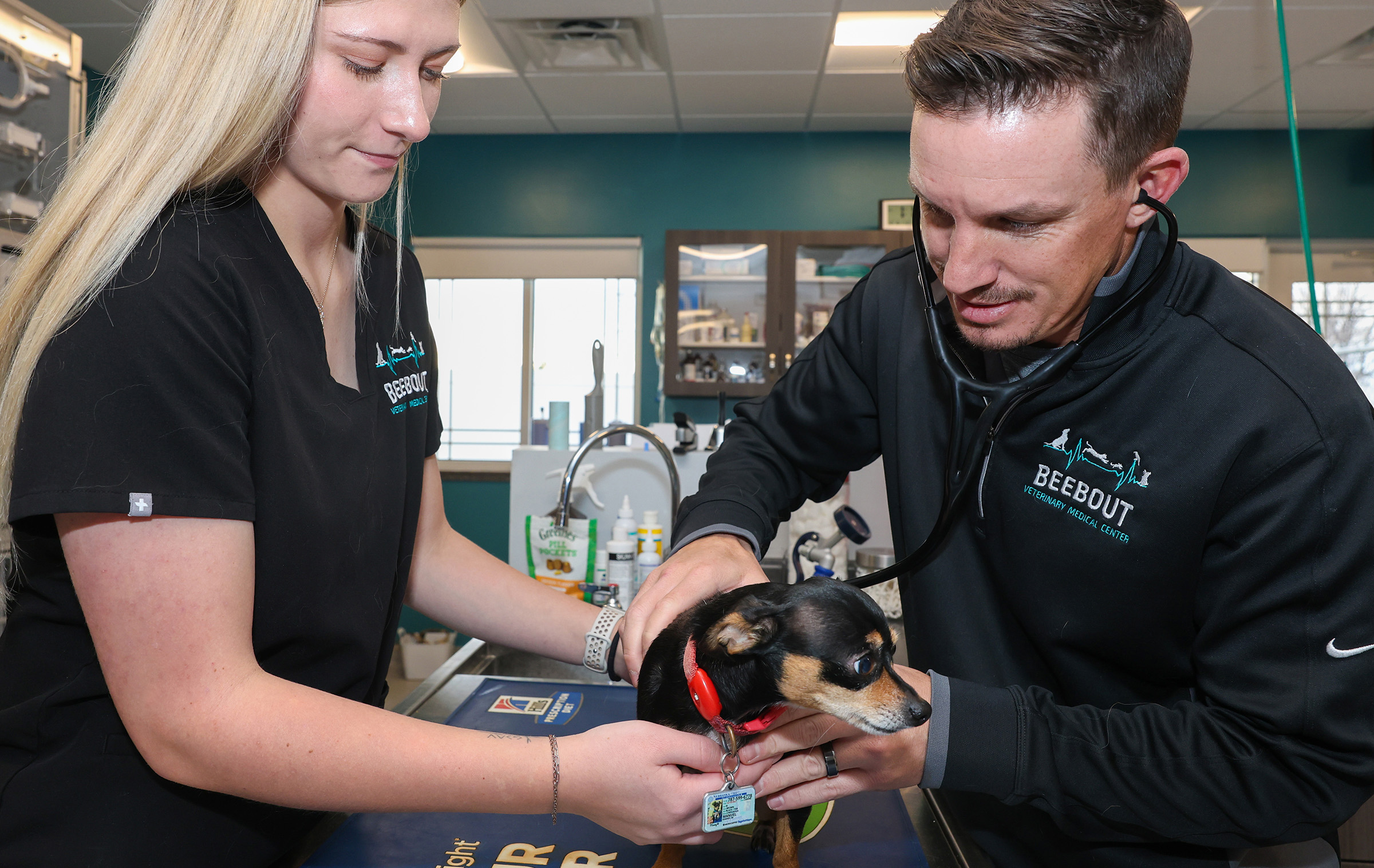 In UNK pre-veterinary program, students learn to care for animals and ...